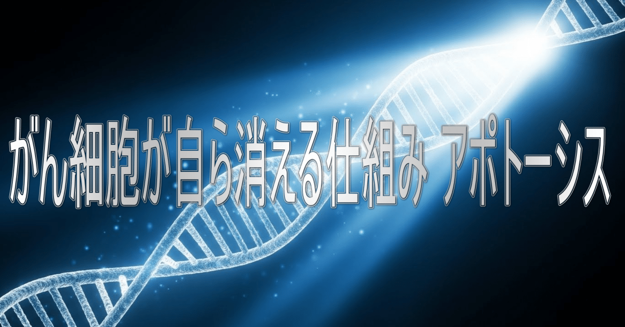 【がん細胞が自ら消える】現役医師も注目！私たちの体にもとから備わる「アポトーシス」の秘密。希望を求めるあなたへ。｜HIMAWARI