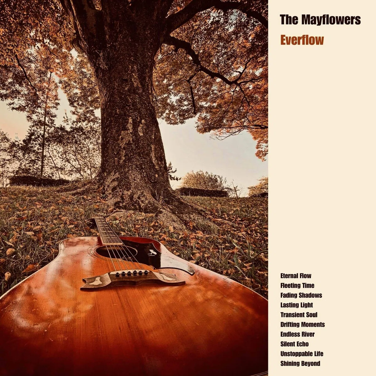 The Mayflowers 2025年 活動ダイジェスト｜里山 理（The Mayflowers）