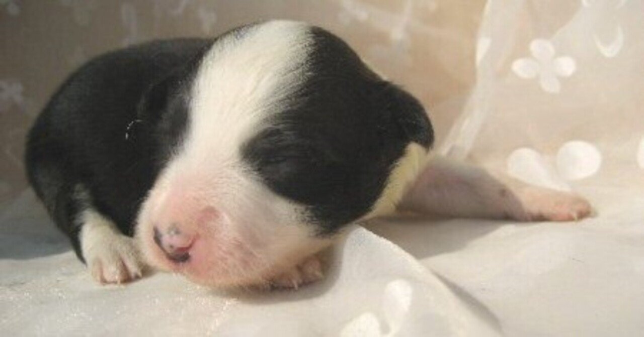 二十五 僕とママの物語｜yukio