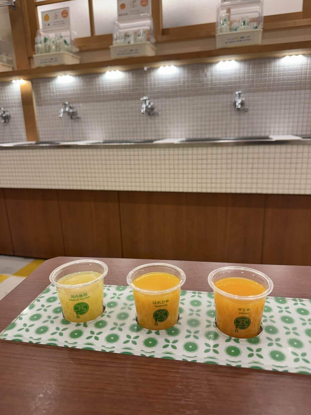 道後hakuroと、蛇口みかんジュース。私の最高コスパ旅【道後温泉～しまなみ海道 第2話】ひとり旅 愛媛県｜ゆん｜関東発ひとり旅