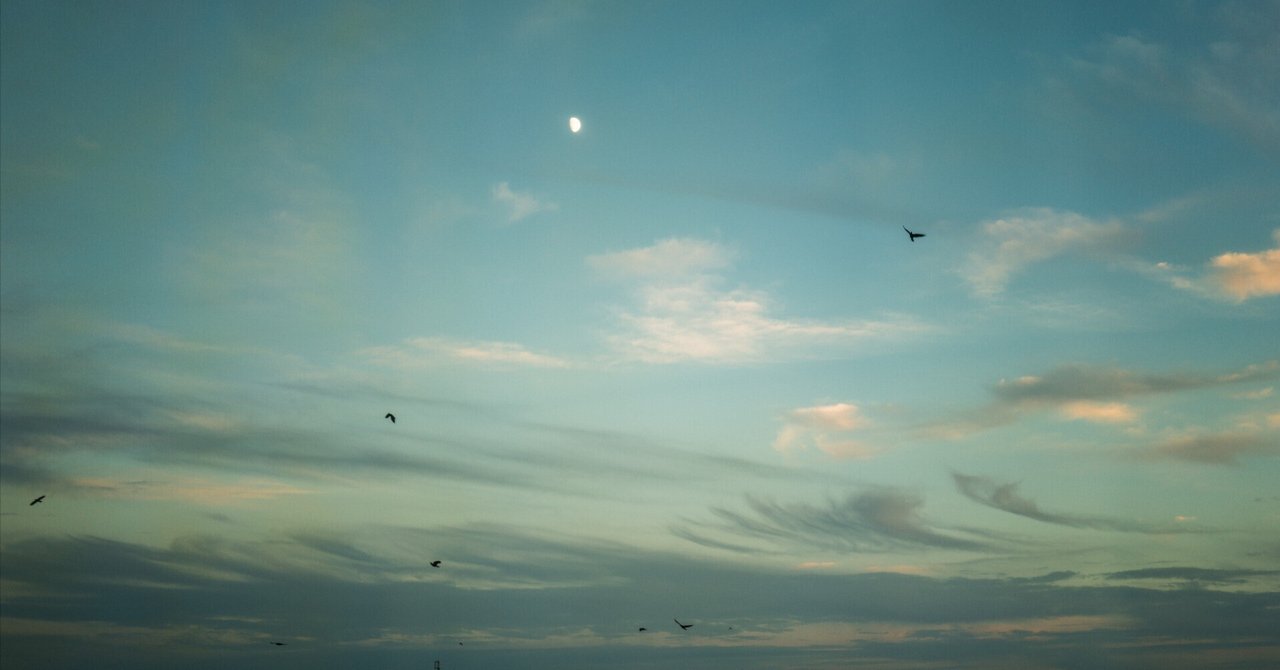 いろいろ撮ってみてわかった「好き」のみつけかた。｜Noriko Maruyama