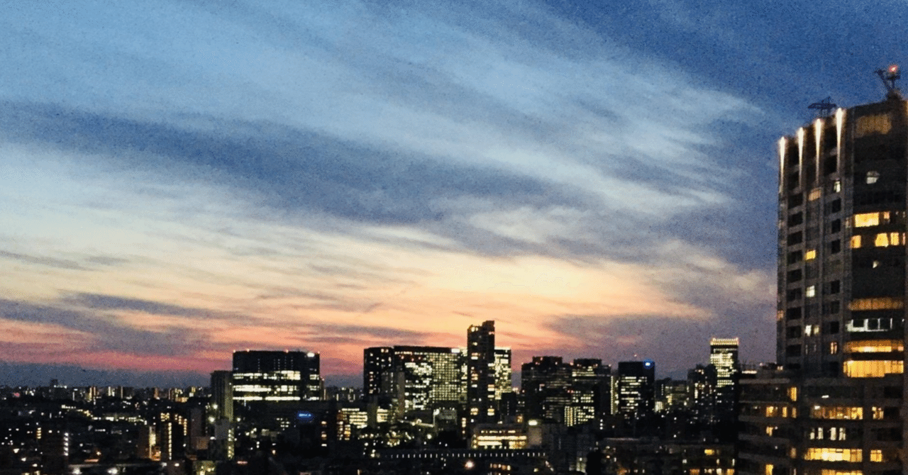 振り返る2025｜yamome shima