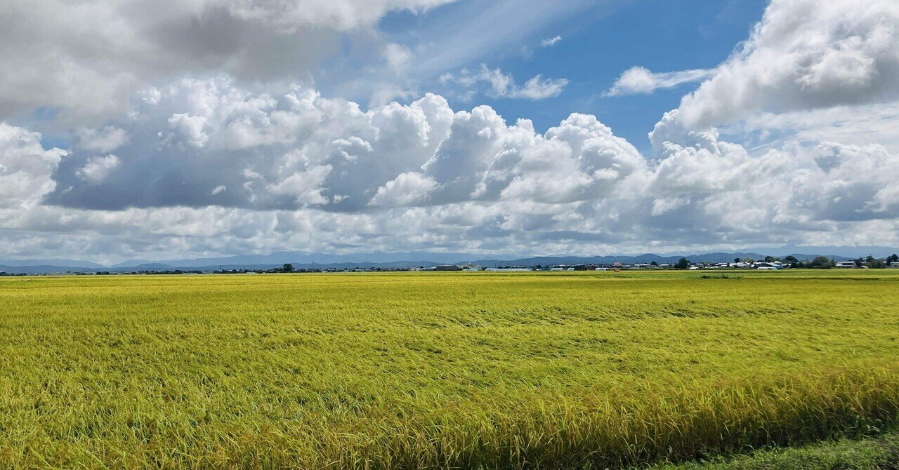 年女・2度脱皮する その2｜yushi sato