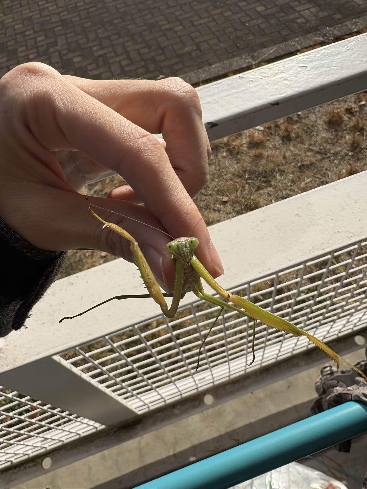 雨夜燕さんに捧げる詩｜sirasu