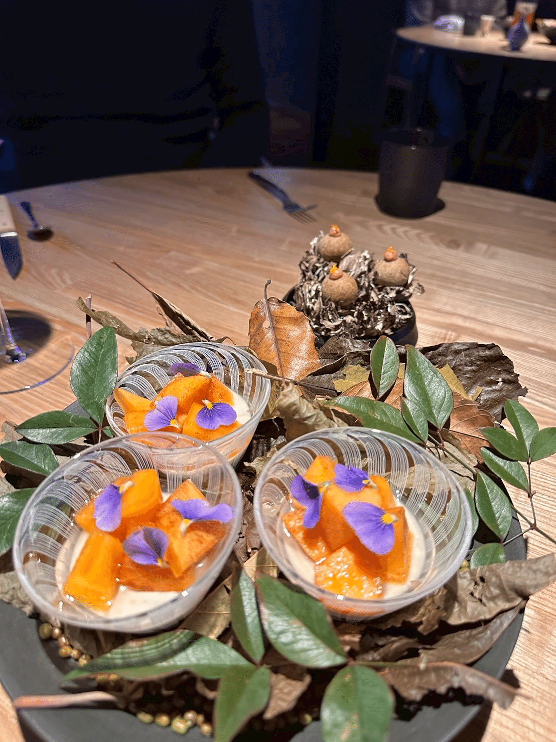 感謝の金沢旅行｜エミコ-ジャイロトニックを伝える人