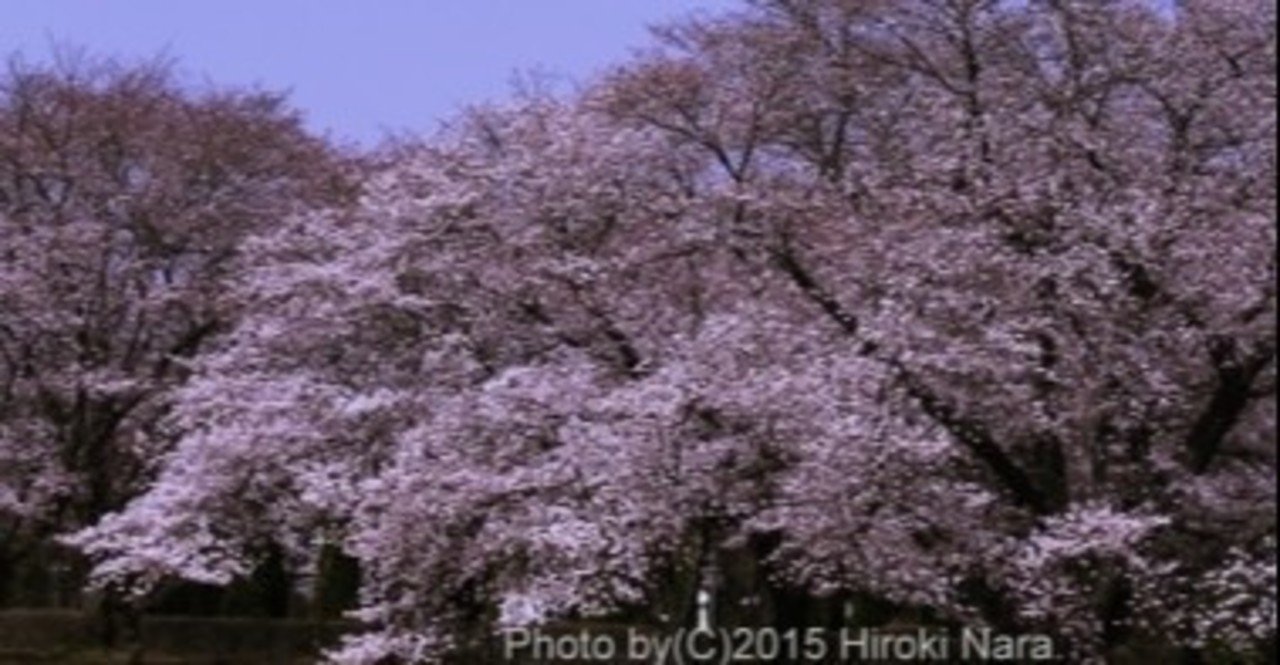 マスコミおろかな平時なら北朝鮮のミサイル発射とかニュースになるが｜hiroki-nara