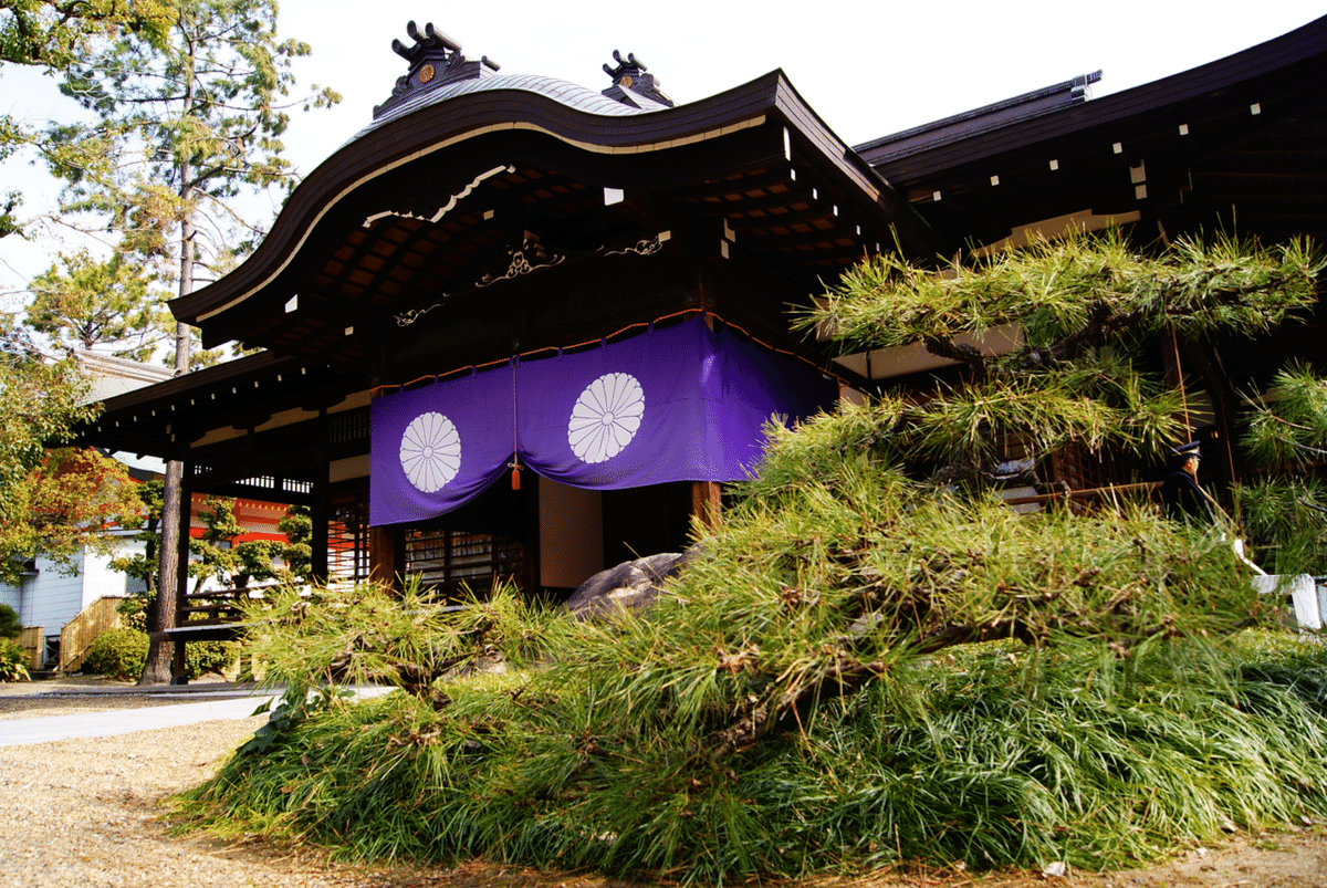 2019年に撮った写真たち｜α300で撮って出しするマン