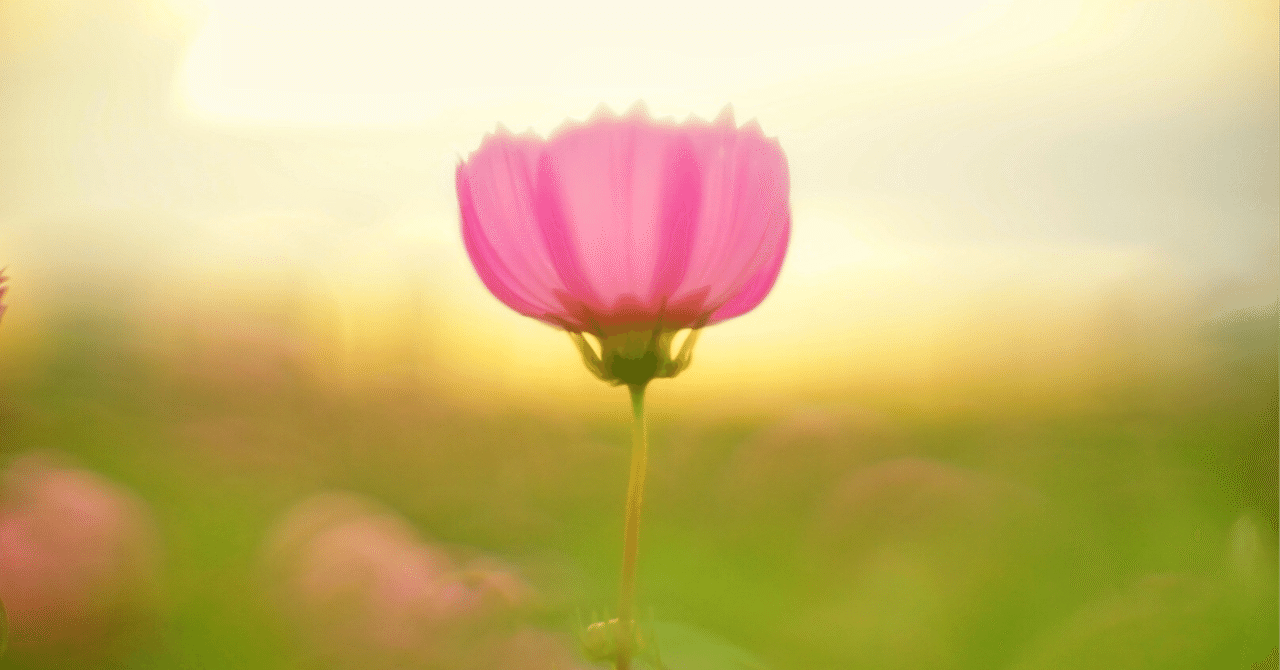 新しいステージへ①｜Miki. Ve