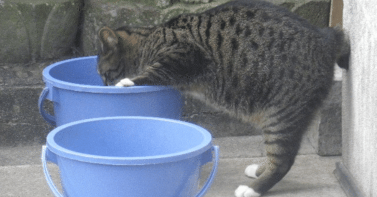 体重計の数字より、その「足首」を見てほしい。医師が「むくみ」を放っておけない理由。｜sayaka