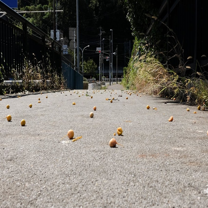 【47TVL_07 栃木県】｜Ryosuke Otani｜note