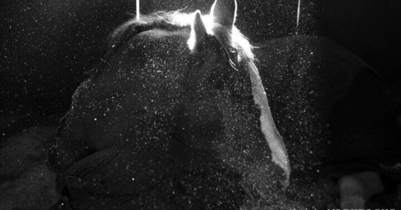 【2025年1月1日】謹賀新年｜丸橋ユキ（まるばしゆき）