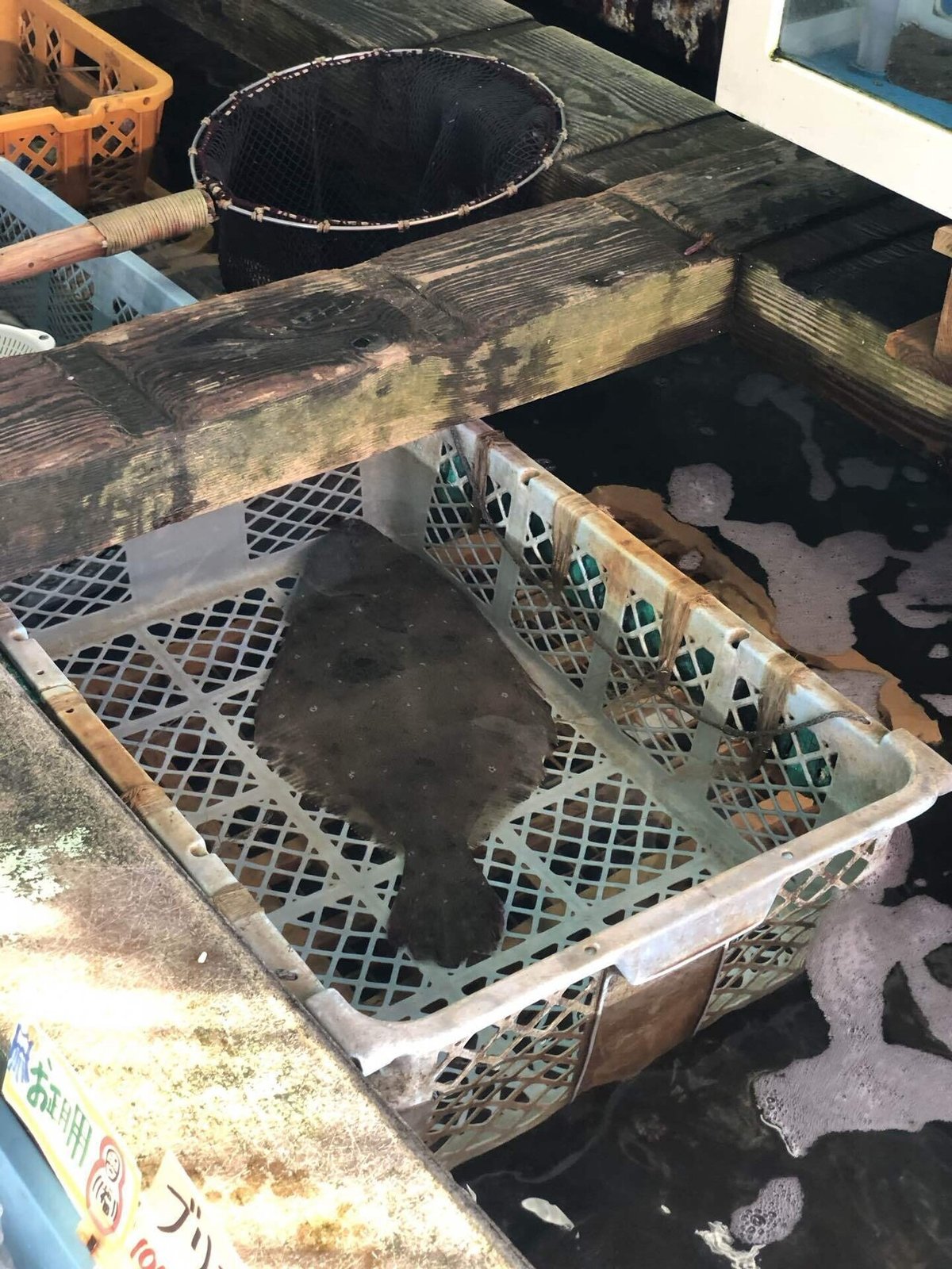 喪中につき｜shun hatano/UZ