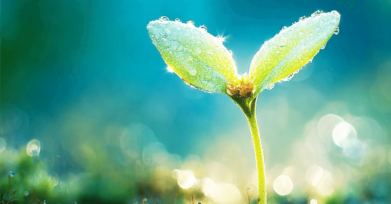 あけましておめでとうございます｜INNOCENCE