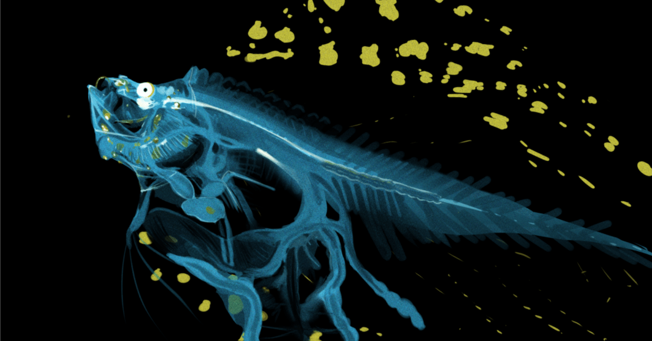 何がめでたい？｜Nsima472