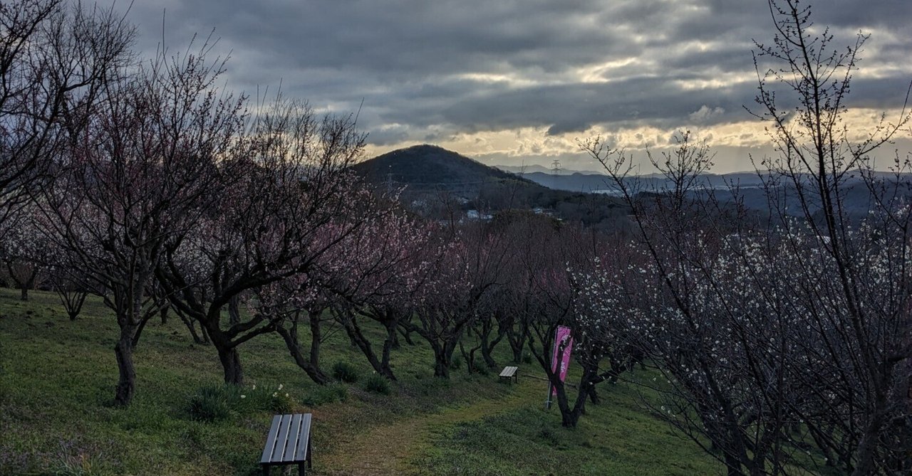 静かな低山を、一人で歩いた日 ― ウグイスの声と、心が戻ってきた時間｜KARUMA