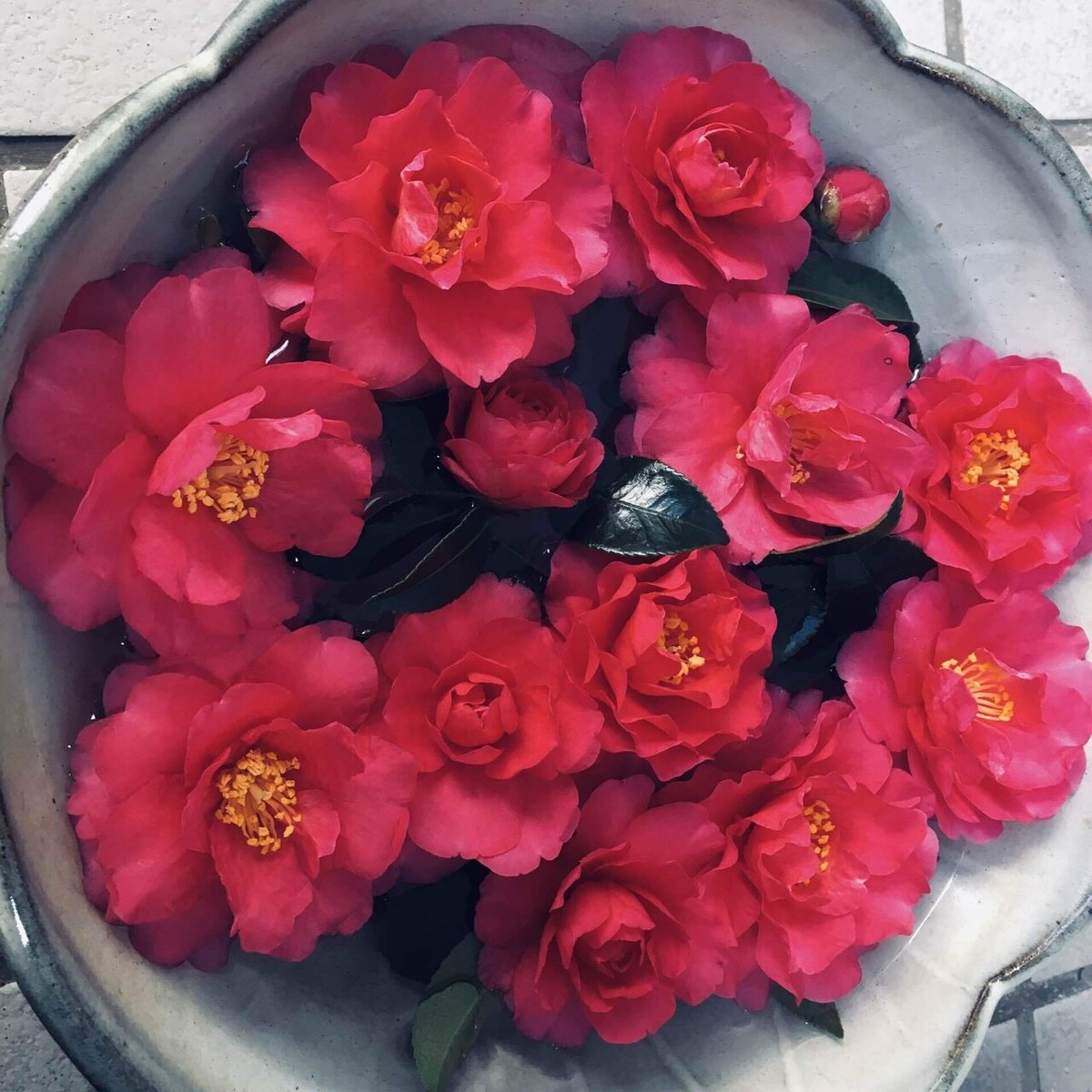 ブリコラージュ163｜junchan