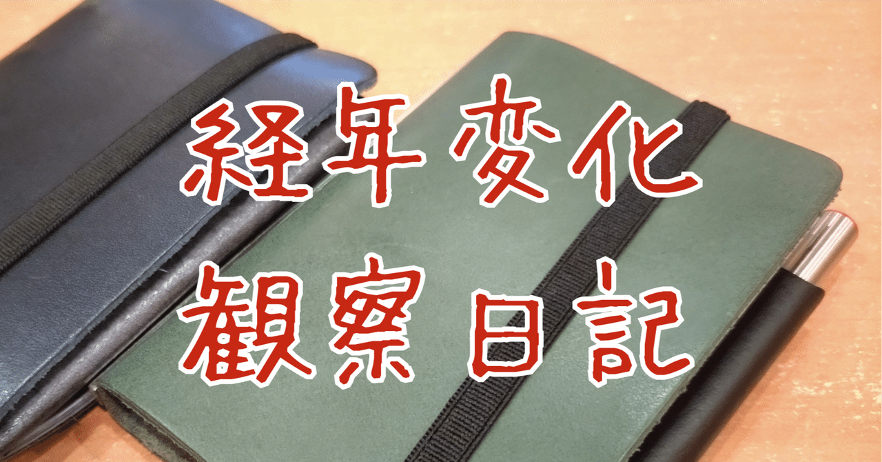 M5 PLOTTER ブライドル グリーン【購入14日目】｜ずØ。