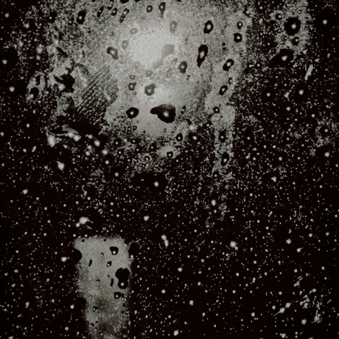 SIGMA fp が欲しい。｜やまだまどか