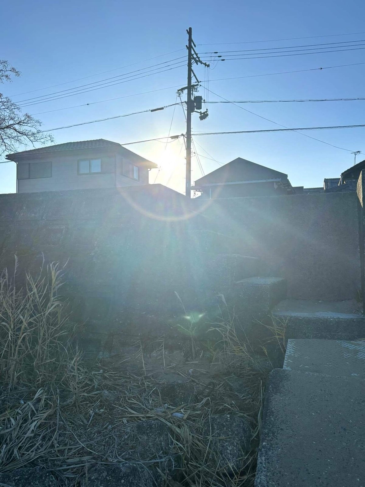 新しい年の幕開けも、お茶時間から｜もりたゆうこの生き方！