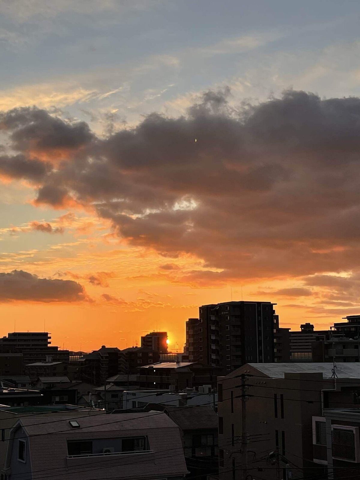 プロレスと暮らす 1/1 〜元日 NOAH日本武道館大会をライブ配信で観戦しました〜｜Mikio_Takaoka