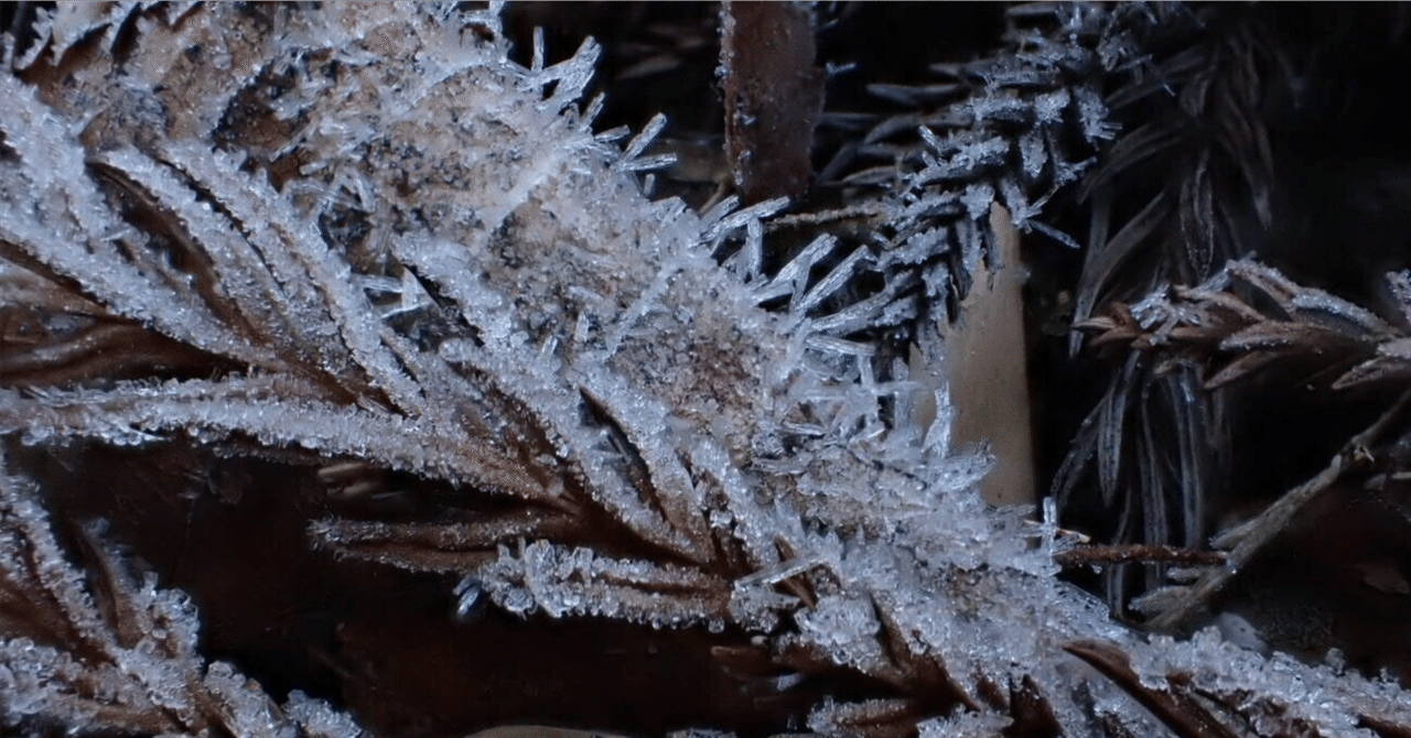 12月振り返り｜すずまる