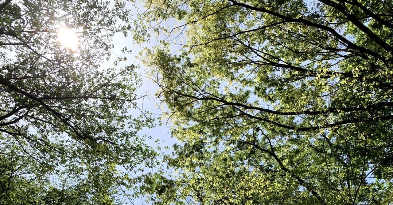 4月28日｜kjunichi｜note