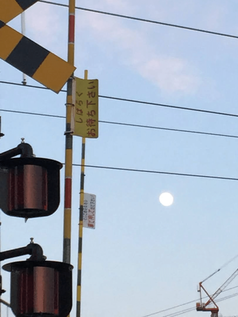 30photo's diary '26.01.04.｜Alexandre