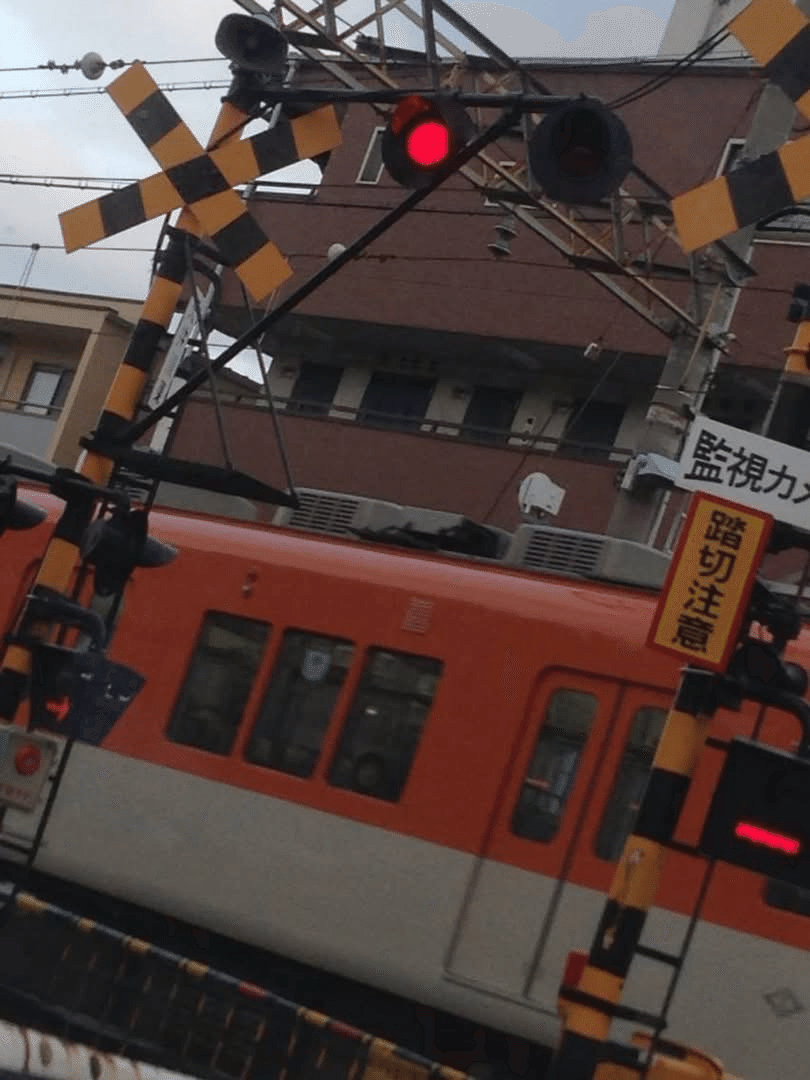 30photo's diary '26.01.04.｜Alexandre