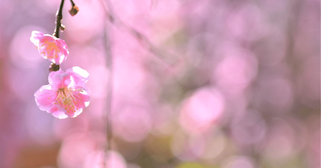 ''ひとり経理'' のスケジュール感ってどんな感じ？｜菊地貴代美／税理士