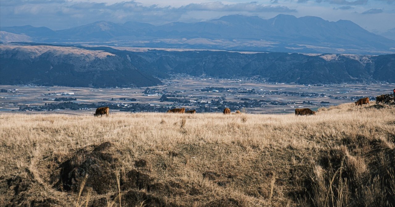 2026年も3日終わりましたが・・・｜YUSUKE/40歳でサイドFIRE目標/株式投資/カメラ/登山