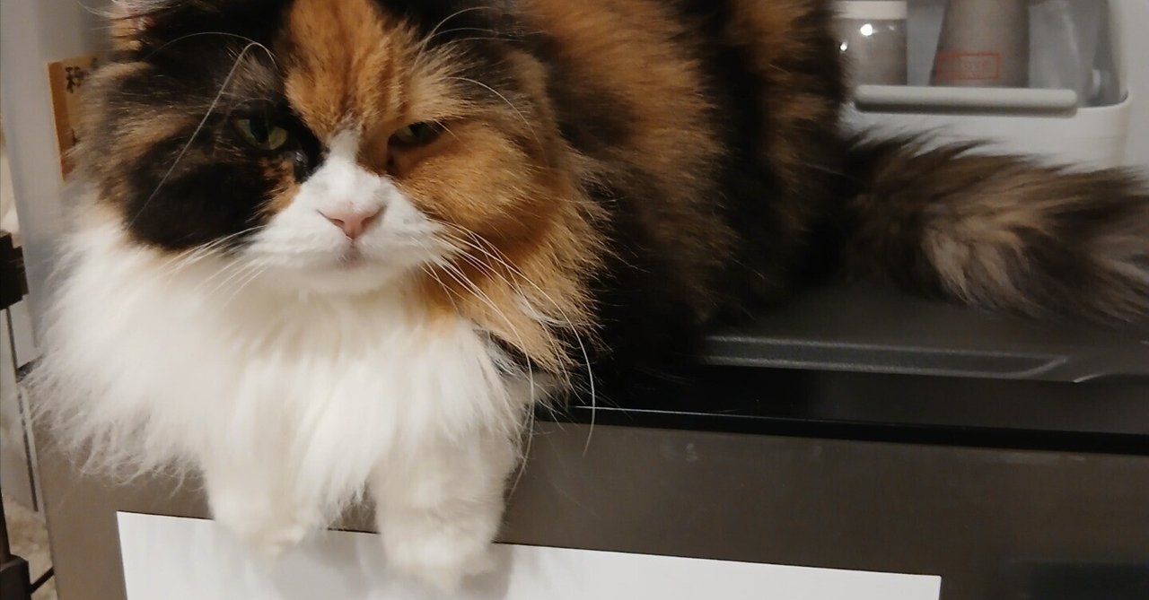 BE MYSELF｜えりー