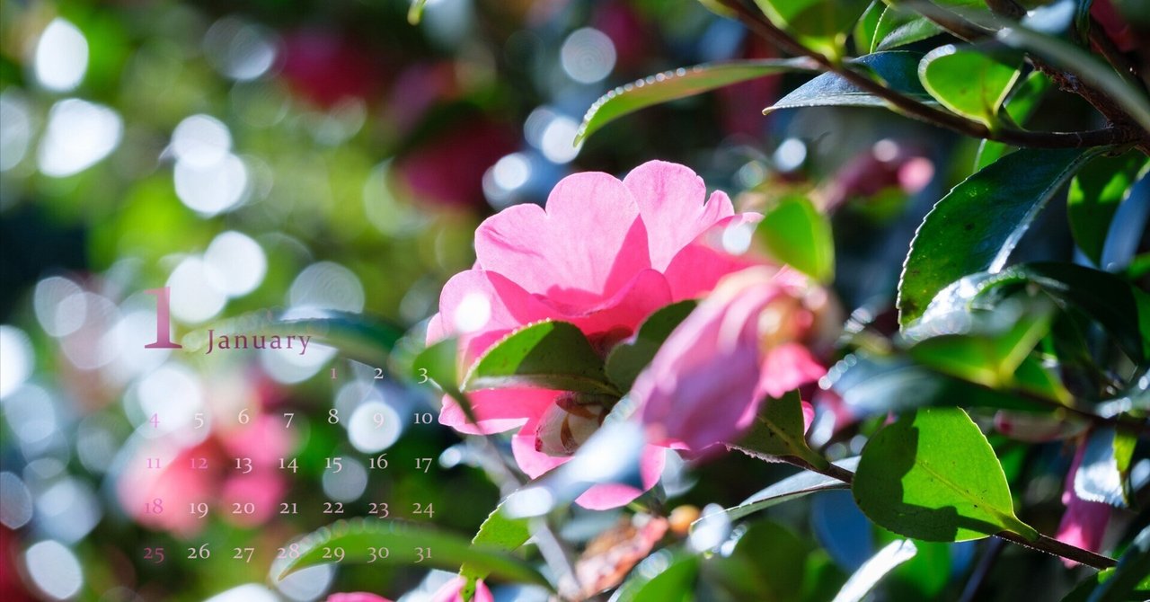 2026年1月 壁紙カレンダー｜noriko