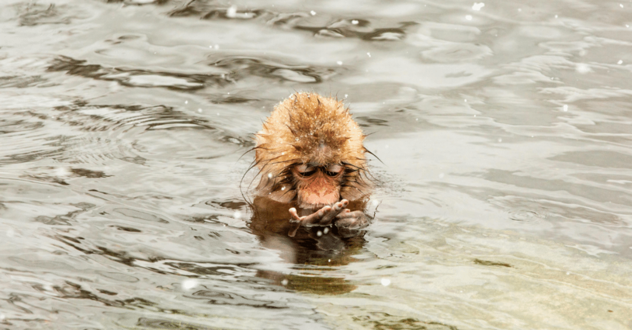 すべての経営者へ、そしてあなたにも―― Synchronic Management vol.1 足元の手触り｜立庭和奈