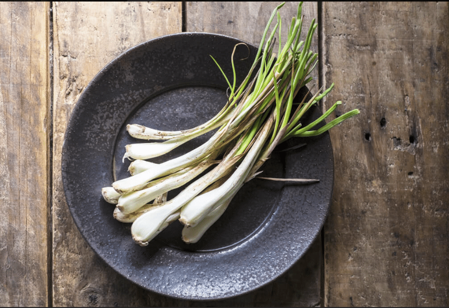 海ぶどうは冷蔵庫に入れてはいけない｜白川聖龍 s.seiryu