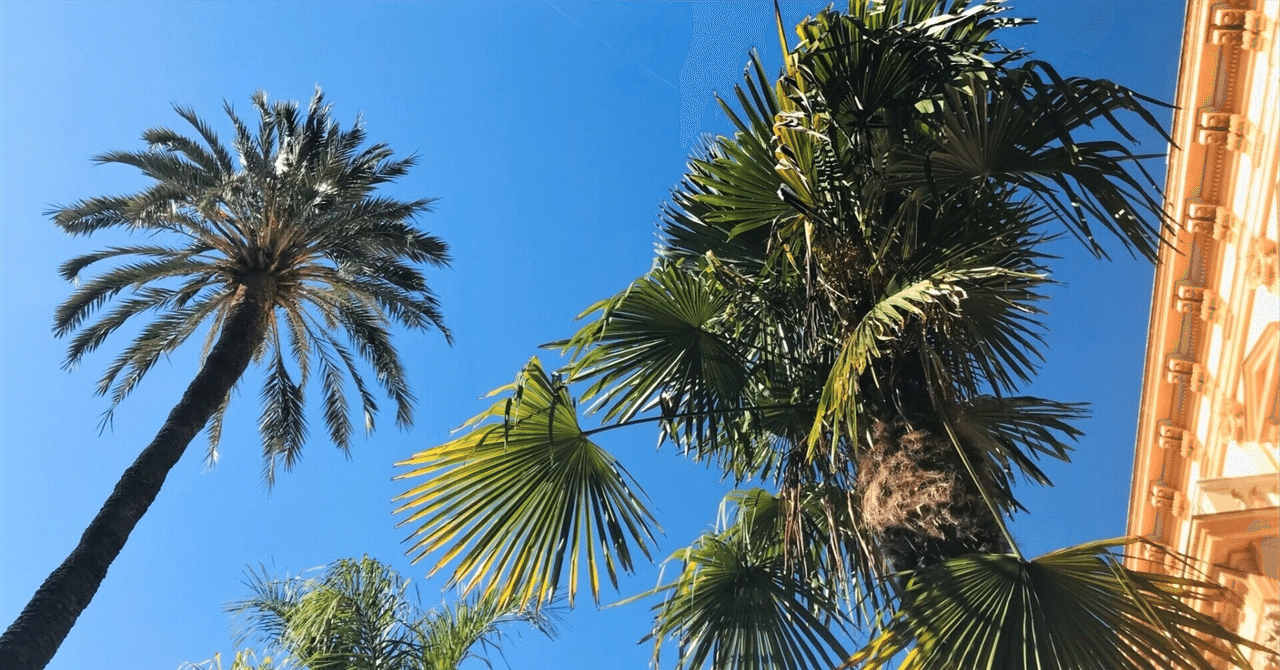 【2026年最新】丸紅の志望動機｜リンゴ