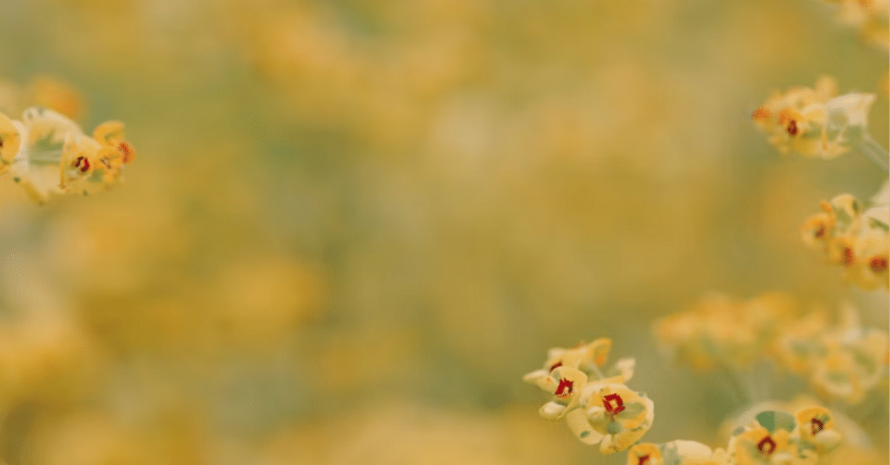 一日を整えるインドの智慧｜Veda