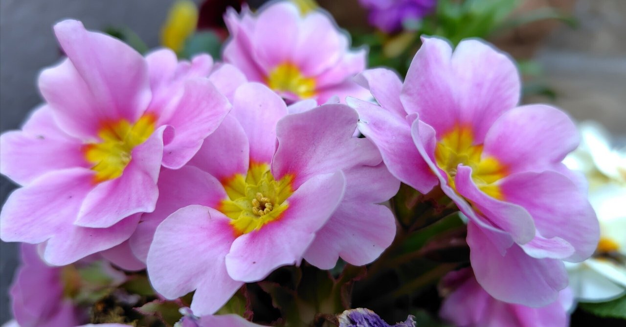 今日の気持ち | 境界線って難しい｜SATOKO