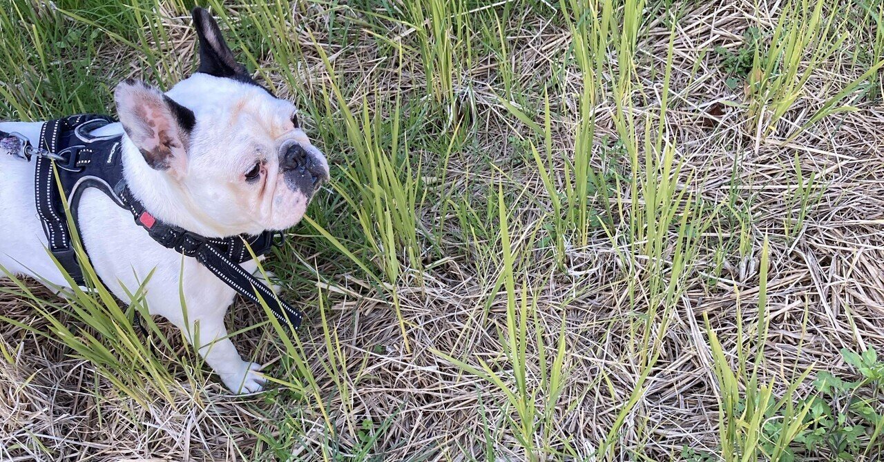 30photo's diary '26.01.06.｜Alexandre