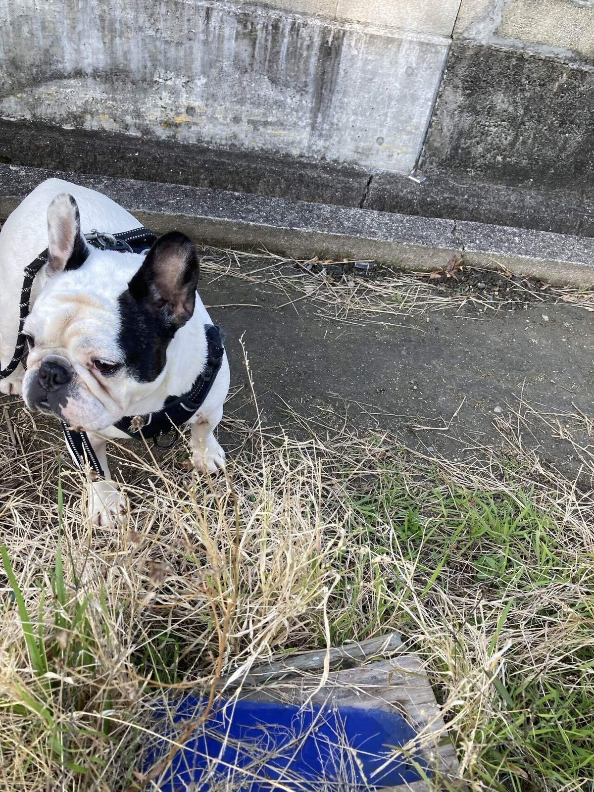 30photo's diary '26.01.06.｜Alexandre