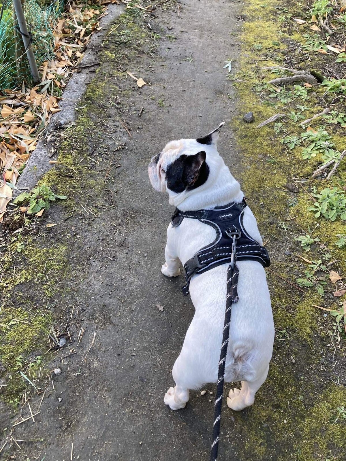 30photo's diary '26.01.06.｜Alexandre