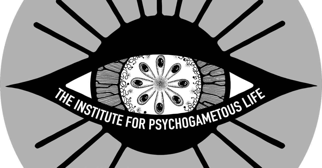 Poetics After Meaning: Xenopoetics, Parasitism, and the Survival of ...