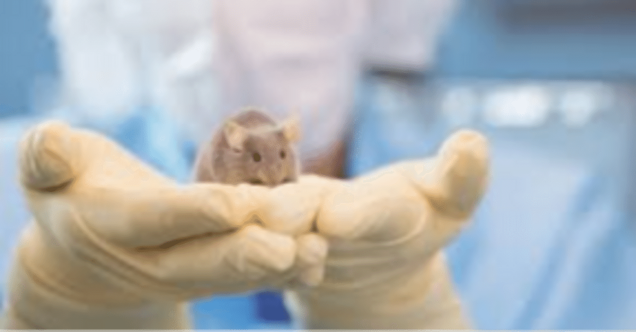 実験室モデル動物市場の競合調査：主要メーカー、ランキング、成長要因2026-2032｜QYResearch