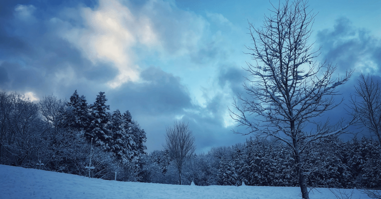 20. 同じ景色、違う世界/ Same Scene, Different World｜SKY 静かな仕事