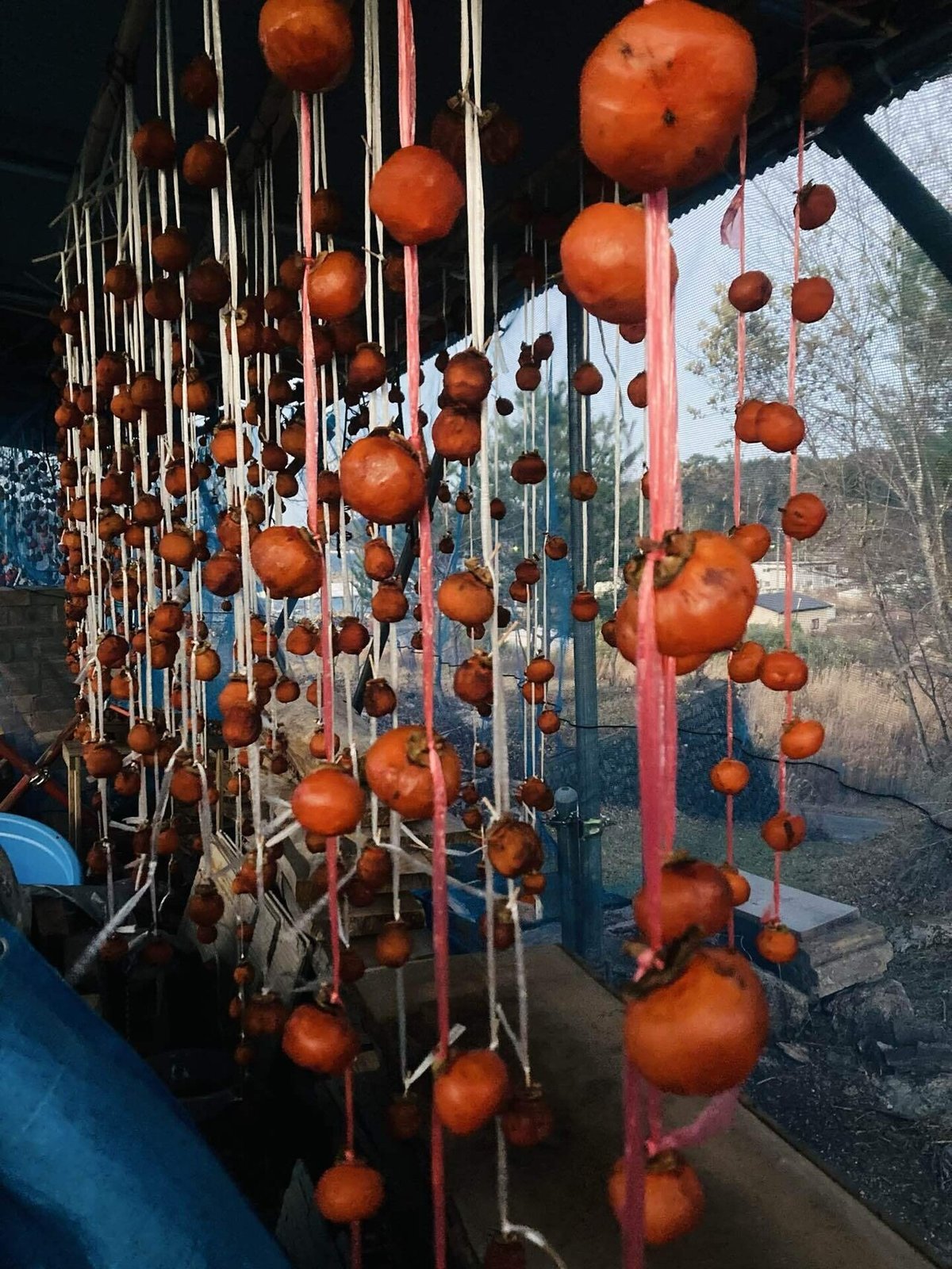 2025.12 活動報告｜カワイ