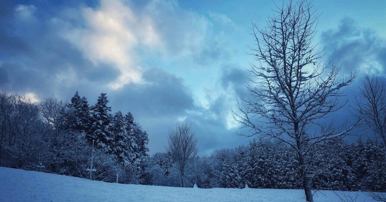 3歳息子の近況｜冬青