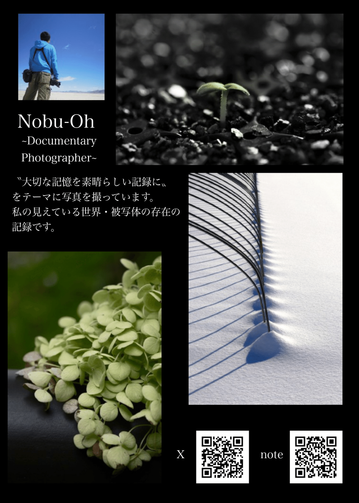 代表作とは...｜Nobu-Oh