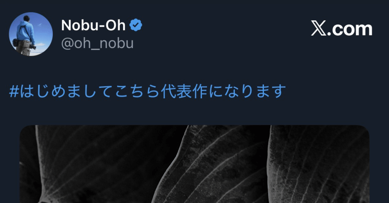 代表作とは...｜Nobu-Oh