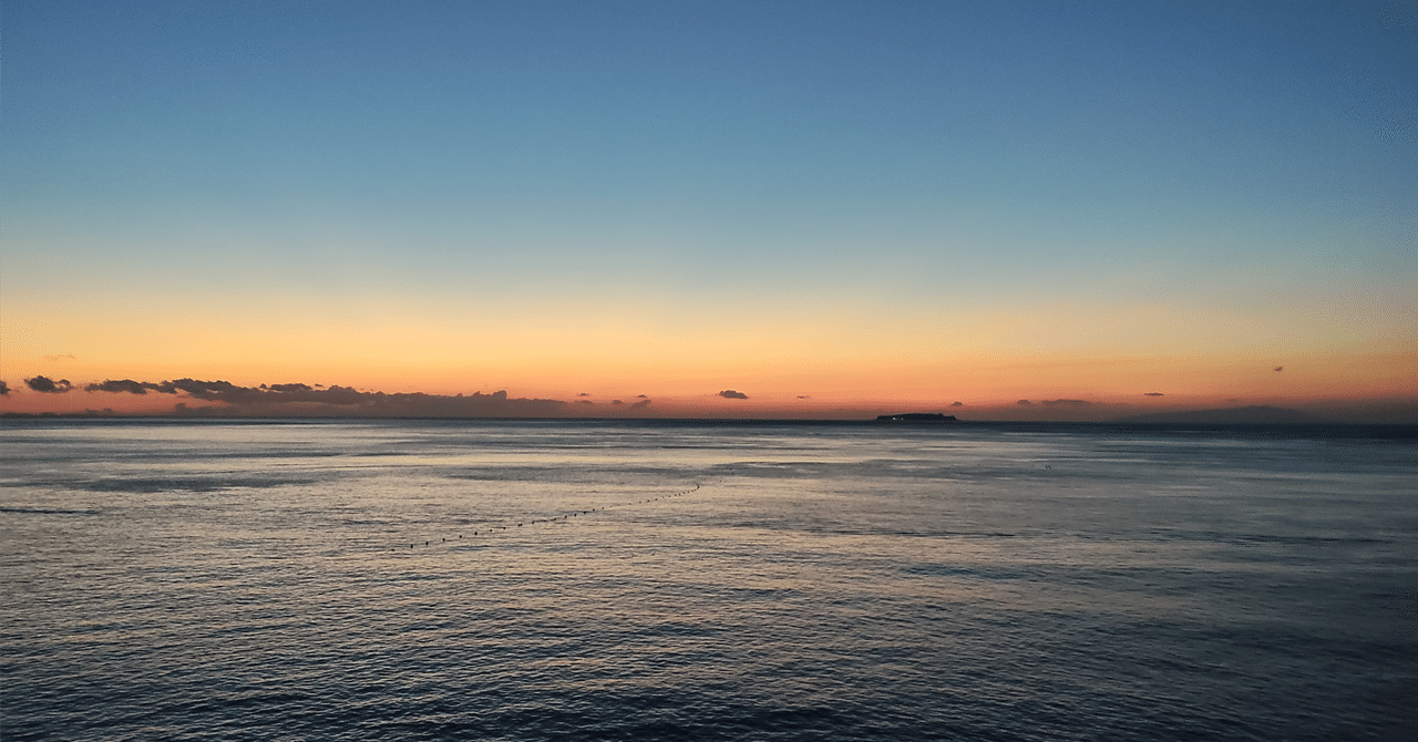 TOSSY ではじめる銀とトルコリラ円観察日記 1 月 7 日｜正則化項つきで最小化された政府