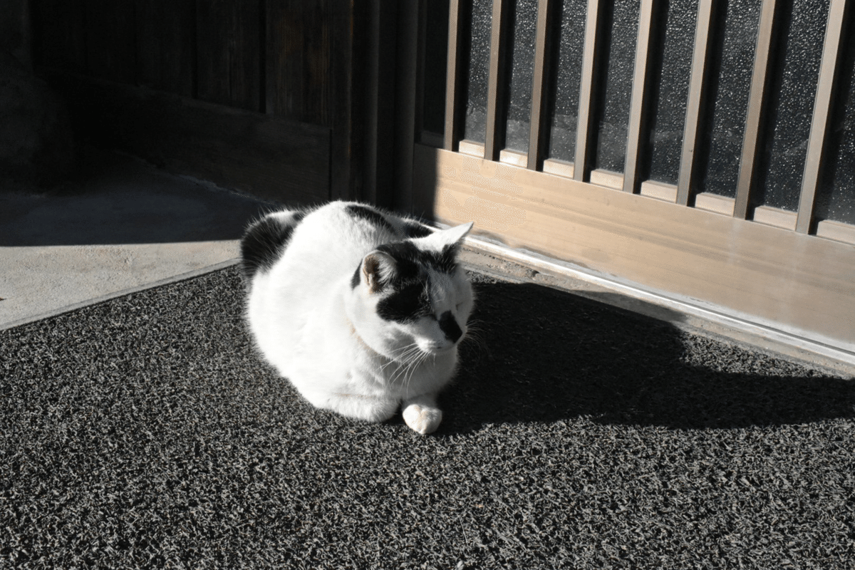 渋沢栄一とお蚕様の関係性｜Petorashika_note