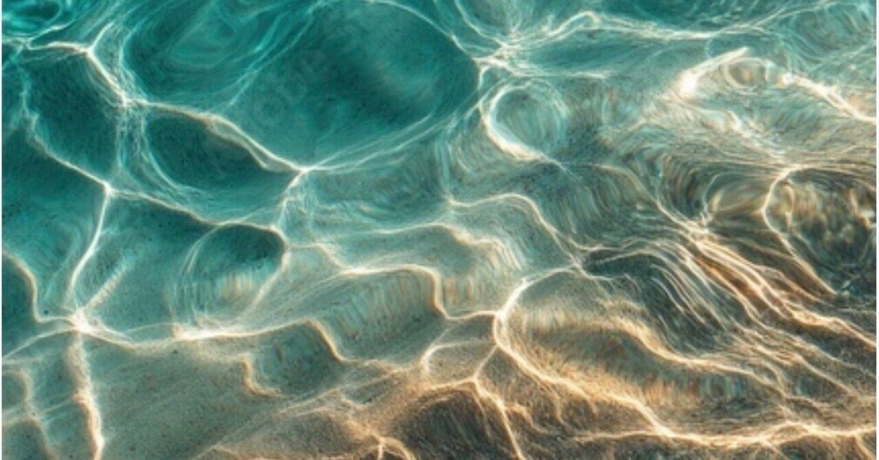 サイトリニューアル ｜Helena.植物の香りを纏う美容室